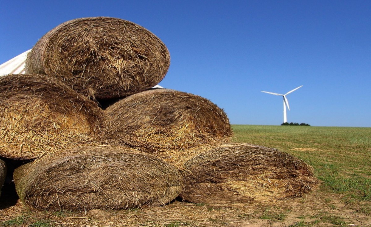 Libre journal de la crise du 18 juillet 2025 : "La politique ...